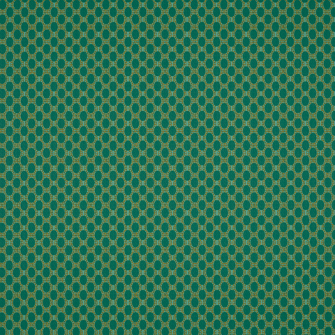 Monkey Nut - George Spencer Designs
